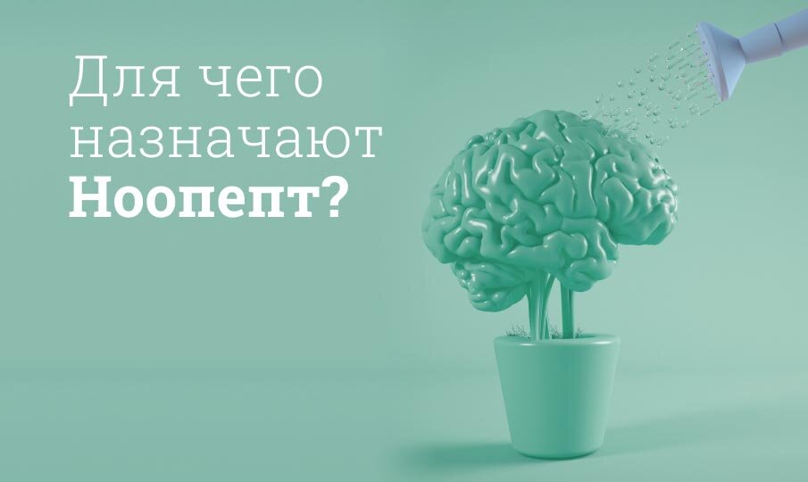 Ноопепт инструкция по применению, цена: Состав, побочные действия ...